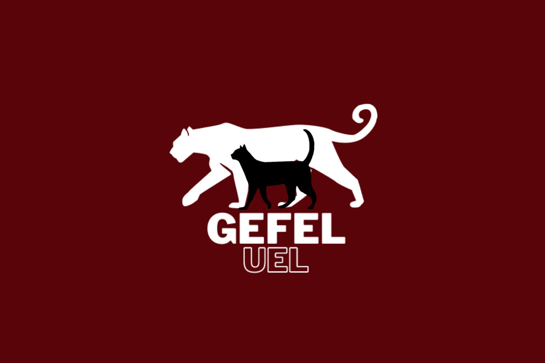 Grupo de Estudos do CCA organiza simpósio sobre felinos - O Perobal - UEL