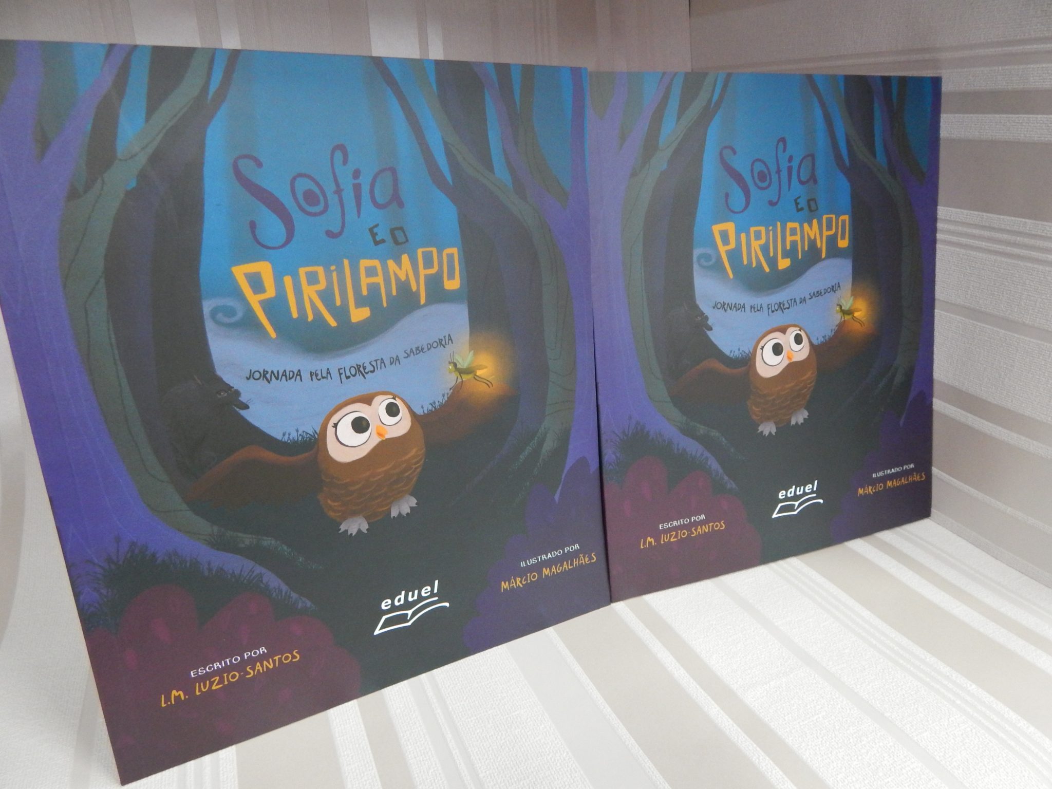 Autor da Eduel lança o livro “Sofia e o Pirilampo: Jornada pela ...